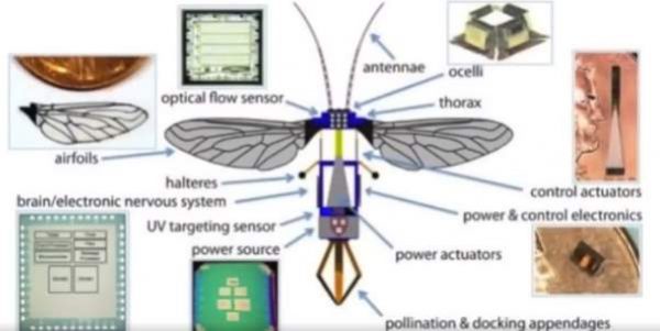 The Truth and Fiction About ‘Insect Sky Drones’ – Truth or Fiction?