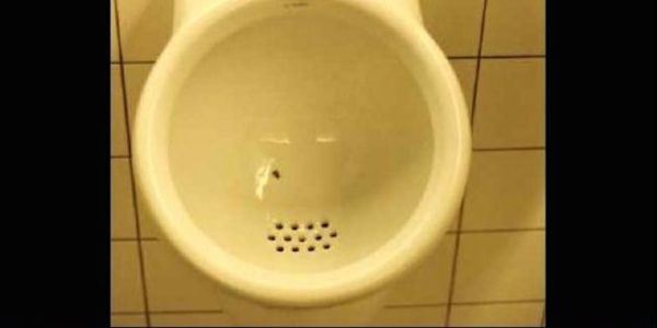 Urinals in Amsterdam with flies etched in the bowls-Truth! – Truth or ...