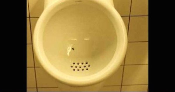 Urinals in Amsterdam with flies etched in the bowls-Truth! - Truth or ...