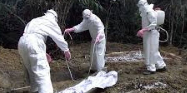 FEMA Prepares for Ebola Zombie Apocalypse – Fiction! – Truth or Fiction?