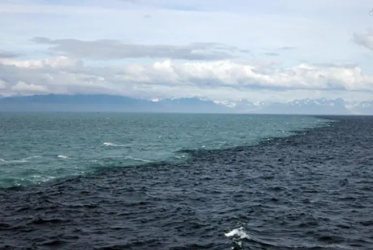 Two Oceans Meet But Do Not Mix in the Gulf of Alaska-Fiction! – Truth ...