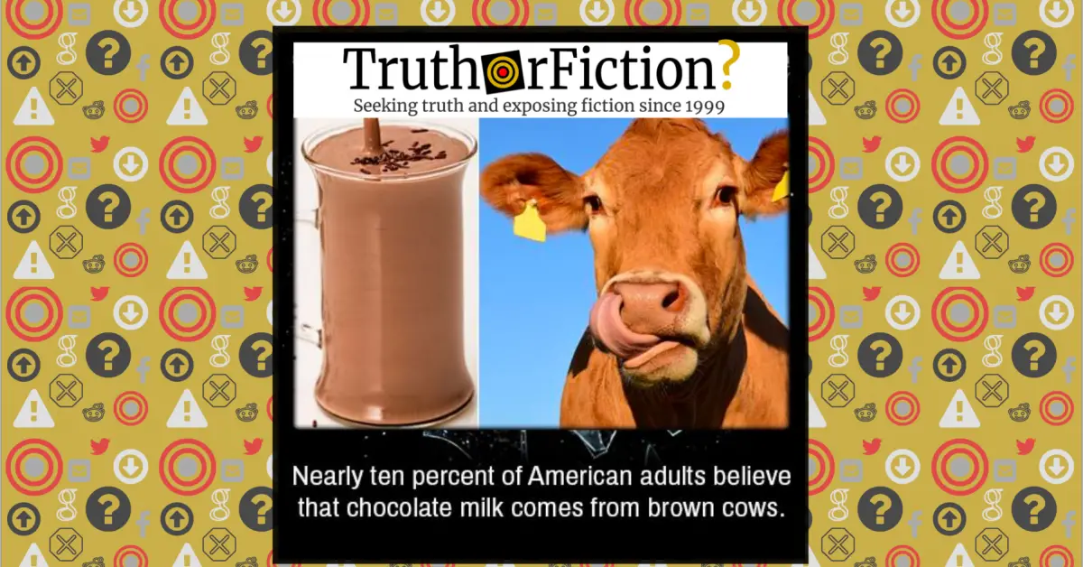 Do Nearly Ten Percent of Americans Think Chocolate Milk Comes from Brown Cows? - Truth or Fiction?