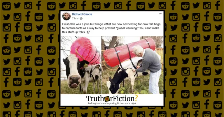 Are 'Cow Fart Bags' Being Used to Fight Climate Change? - Truth or Fiction?