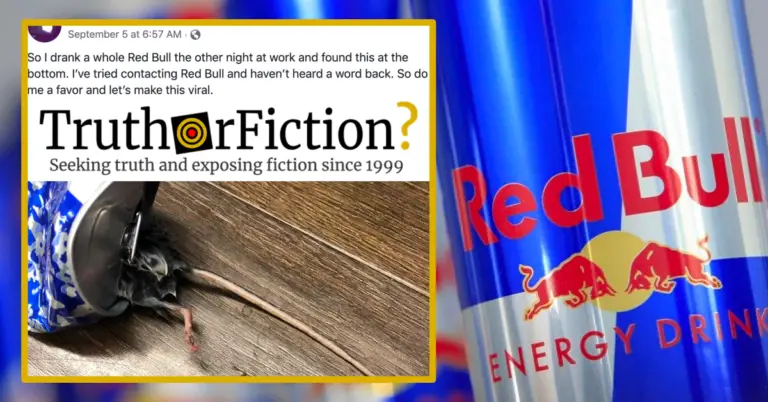 Did a Man Find a Dead Mouse in a Nearly Empty Red Bull Can? – Truth or ...