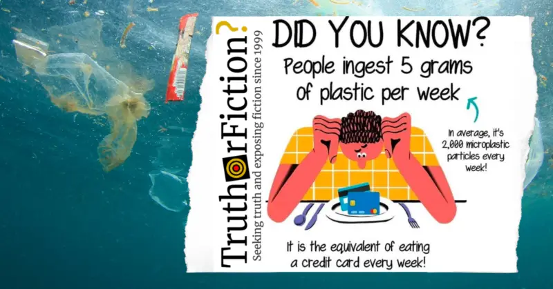 Do People Ingest Five Grams of Plastic Per Week? – Truth or Fiction?