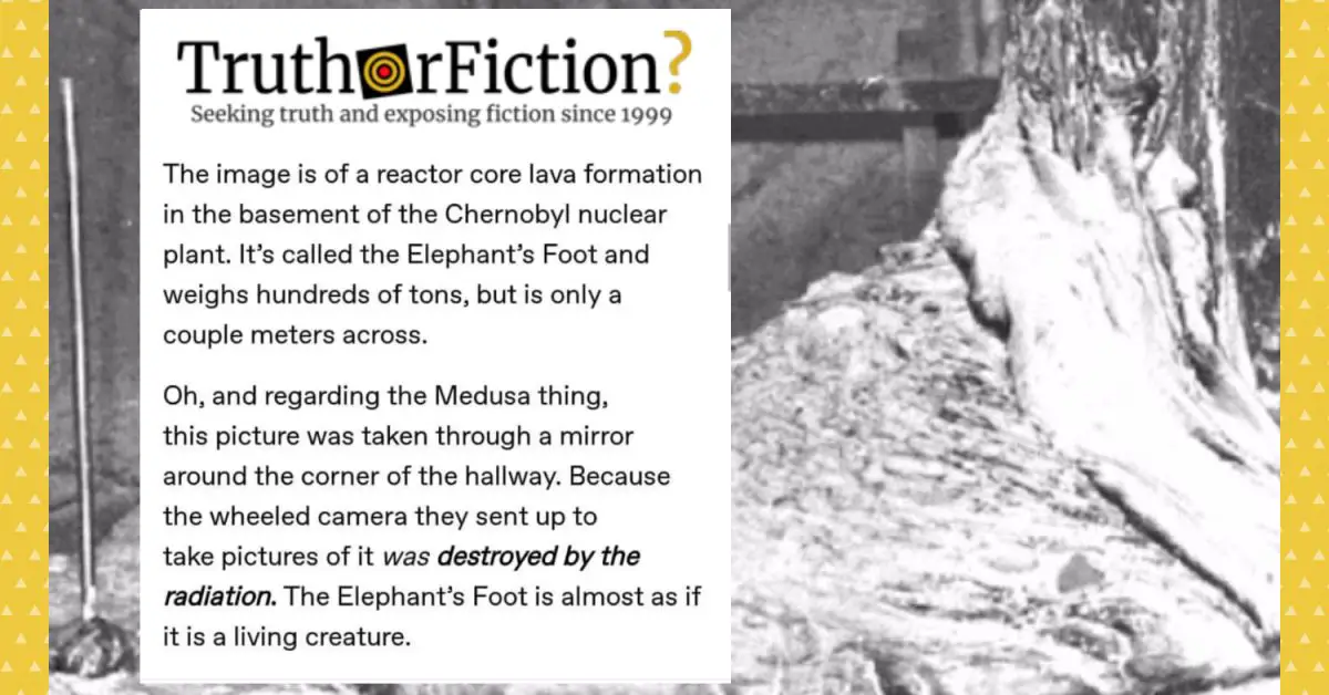 Is This a Photograph of the Chernobyl 'Elephant's Foot'? - Truth or ...