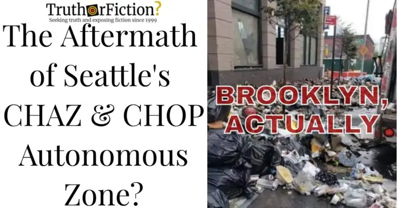 Is This a Photo of Seattle — Brought to You By ‘The Environmental Left ...