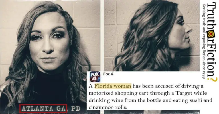 ‘A Florida Woman Has Been Accused of Driving a Motorized Shopping Cart ...