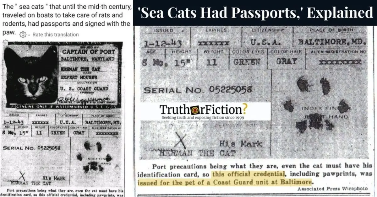 Sea Cats and Passports – Truth or Fiction?