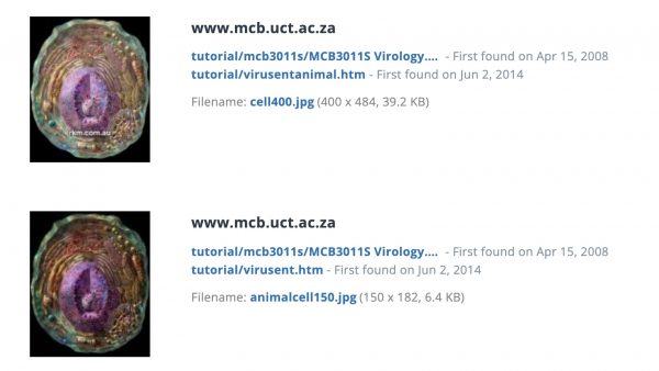 ‘Most Detailed Image of a Human Cell’ – Truth or Fiction?