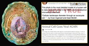 'Most Detailed Image of a Human Cell' - Truth or Fiction?