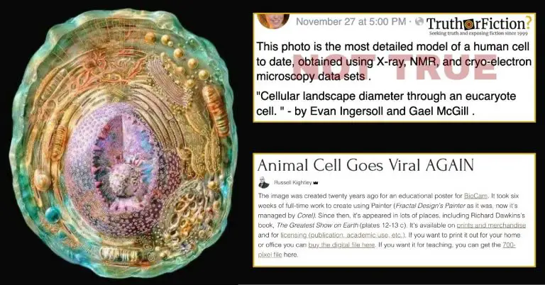 ‘Most Detailed Image of a Human Cell’ – Truth or Fiction?