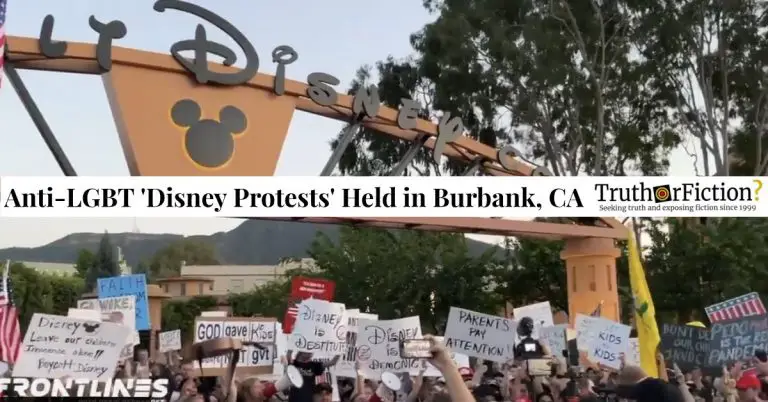 Disney Protests – Truth or Fiction?