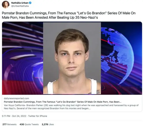 ‘Pornstar Brandon Cummings … Arrested After Beating Up 35 Neo-Nazi’s ...