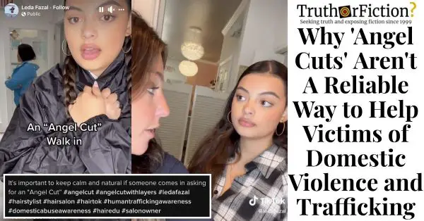 TikTok ‘Angel Cut,’ ‘Angel Cut With Layers’ Explained – Truth or Fiction?