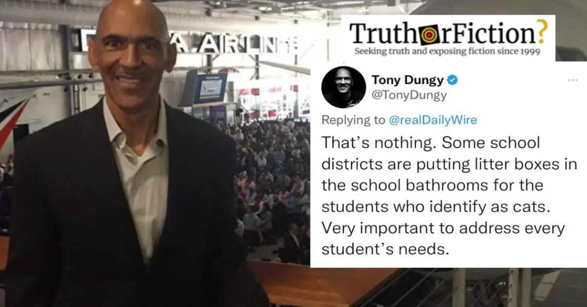 NBC Sports Presenter Takes Up Right-Wing ‘Litter Boxes’ Smear – Truth ...