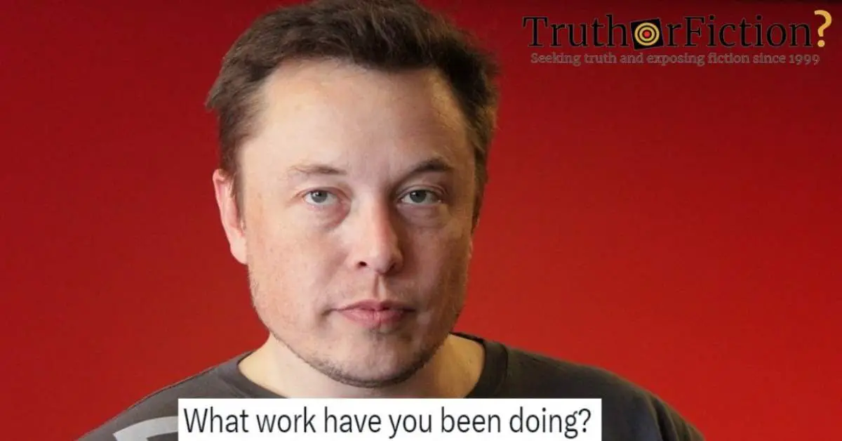 Elon Musk Apologizes After Mocking Disabled Twitter Worker - Truth or ...