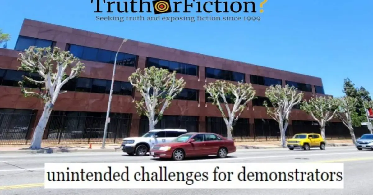 ‘Outdated Laws’: NBC Universal’s Anti-Union Tree-Trimming Results in ...